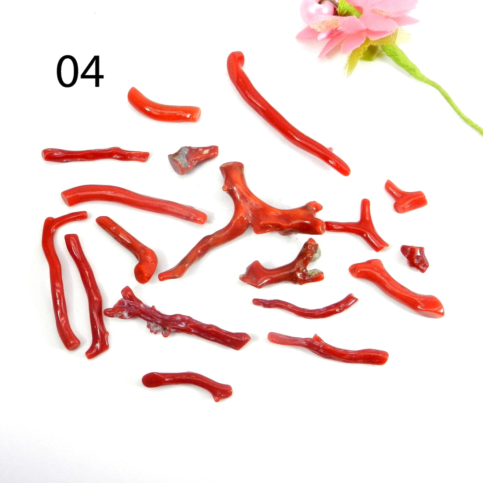 Natural Italian Red Coral Stick Loose Branch Polished Coral | Etsy