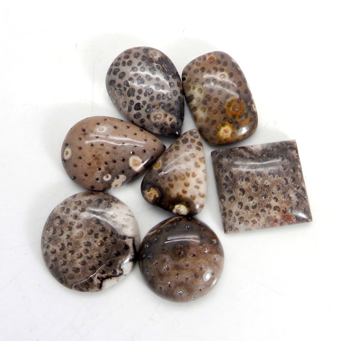 Natural Plum Wood Jasper Mix Shape Wholesale Semiprecious - Etsy