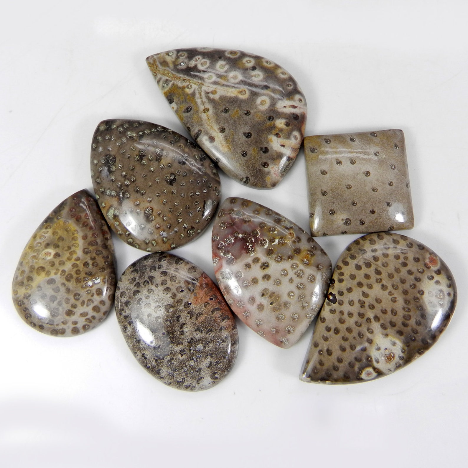 Natural Plum Wood Jasper Mix Shape Wholesale Semiprecious - Etsy