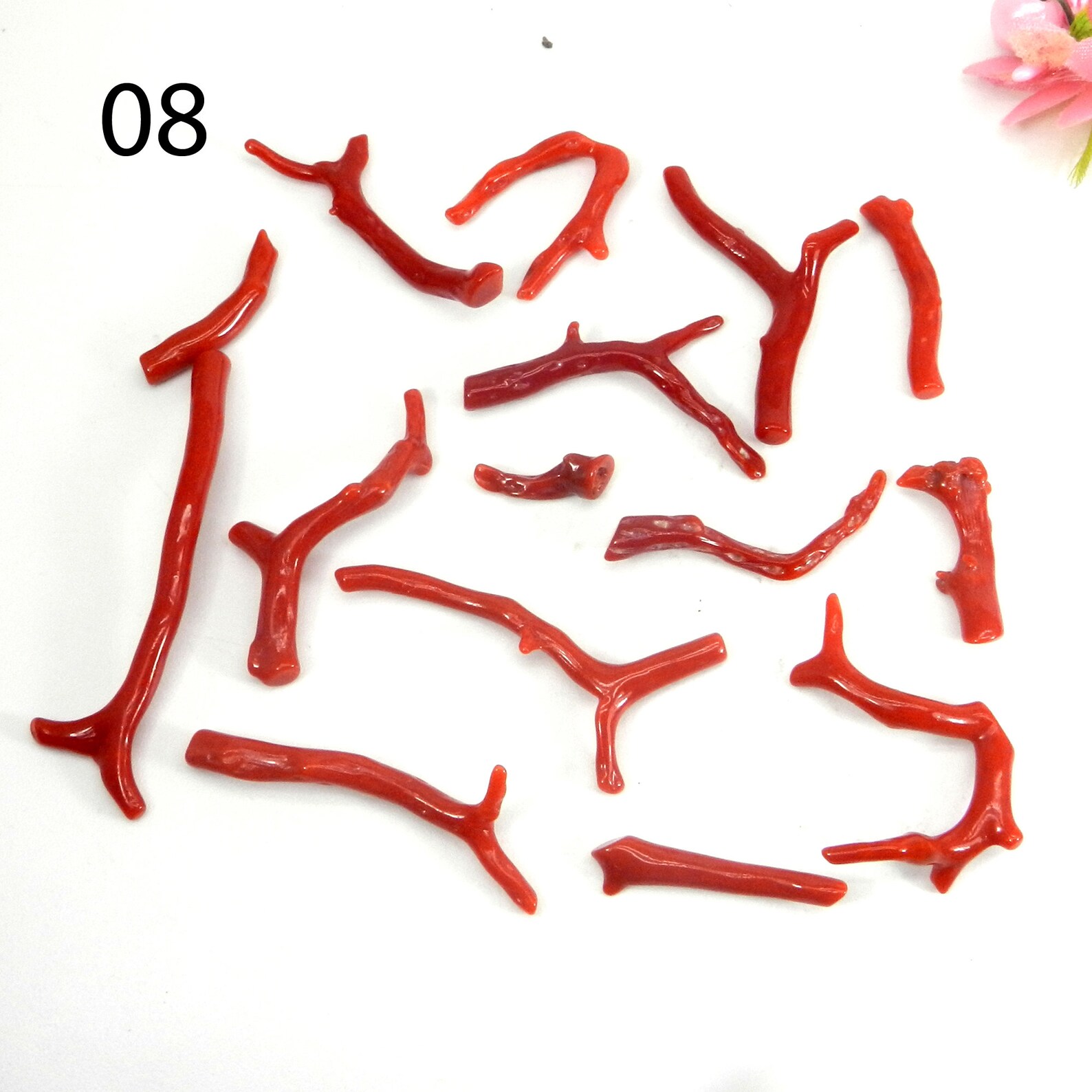 Natural Italian Red Coral Stick Loose Branch Polished Coral | Etsy