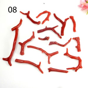 Natural Italian Red Coral Stick Loose Branch Polished Coral - Etsy