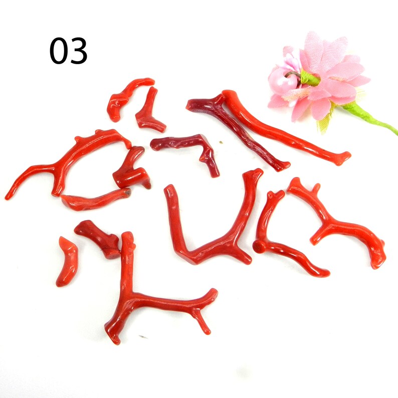 Natural Italian Red Coral Stick Loose Branch Polished Coral | Etsy