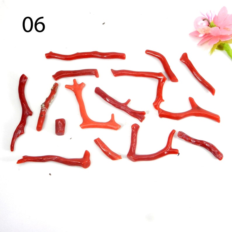 Natural Italian Red Coral Stick Loose Branch Polished Coral - Etsy