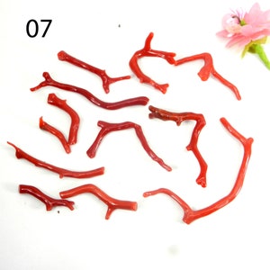 Natural Italian Red Coral Stick Loose Branch Polished Coral - Etsy