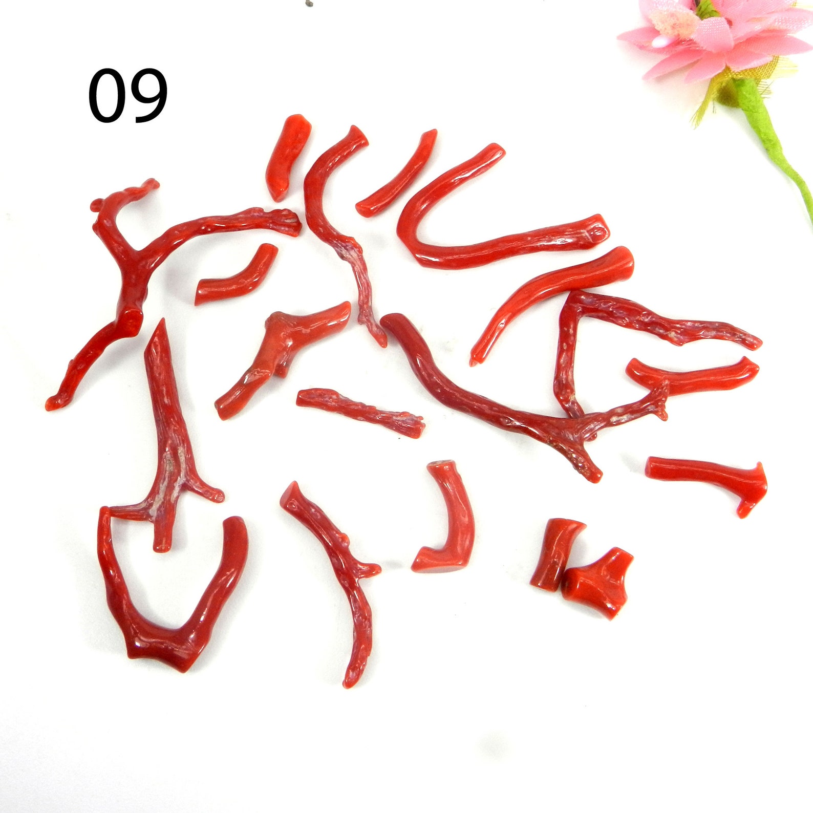 Natural Italian Red Coral Stick Loose Branch Polished Coral | Etsy