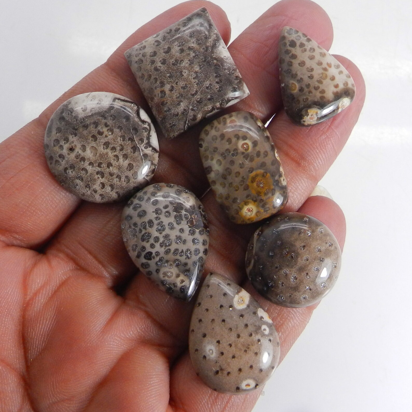 Natural Plum Wood Jasper Mix Shape Wholesale Semiprecious - Etsy