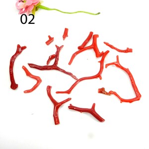 Natural Italian Red Coral Stick Loose Branch Polished Coral - Etsy