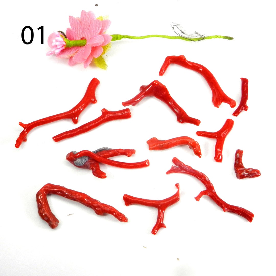 Natural Italian Red Coral Stick Loose Branch Polished Coral - Etsy