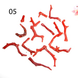 Natural Italian Red Coral Stick Loose Branch Polished Coral - Etsy