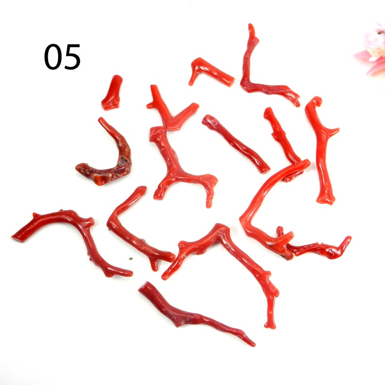 Natural Italian Red Coral Stick Loose Branch Polished Coral | Etsy