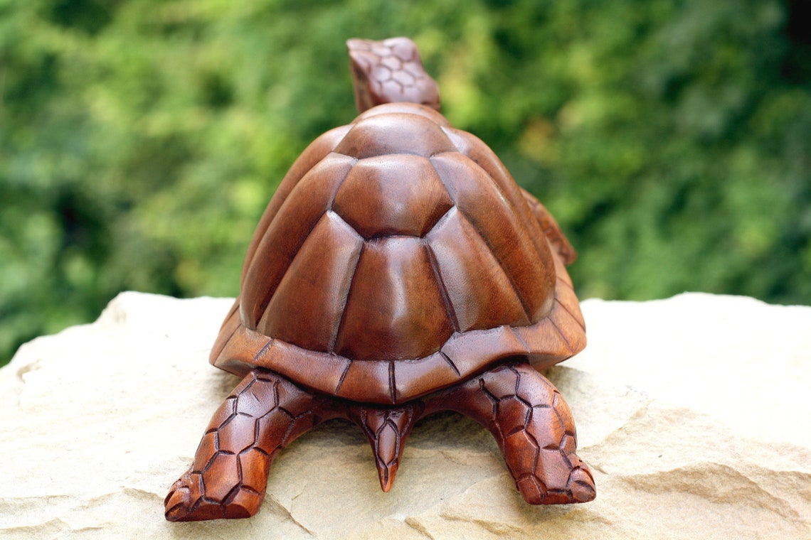 Wooden Tortoise Sculpture Hand Carved Wood Turtle Sculpture - Etsy