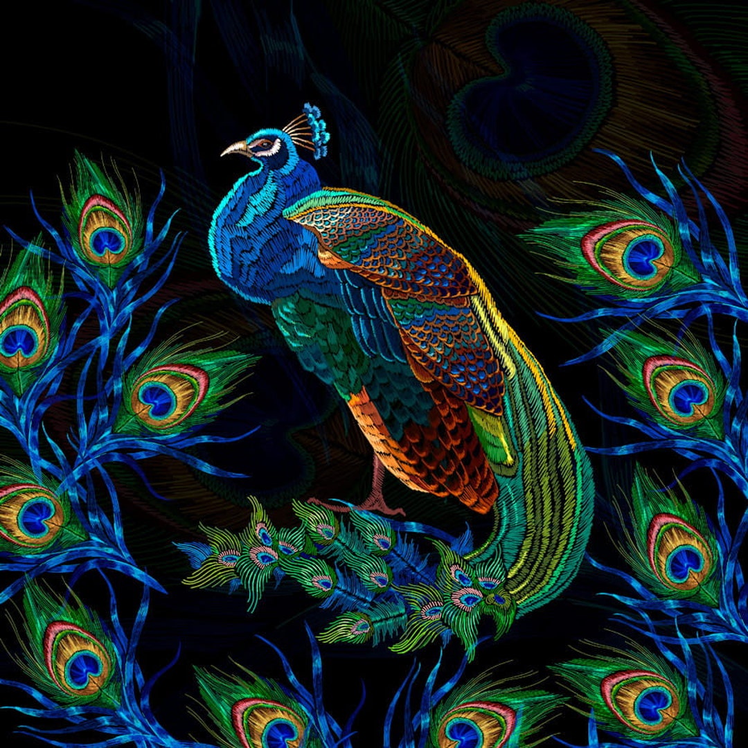 1 Meter Peacock Italian Velvet Fabric, Upholstery Fabric, Upholstery ...