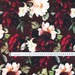 Wild Roses Italian Velvet Fabric, Upholstery Fabric, Upholstery Velvet ...