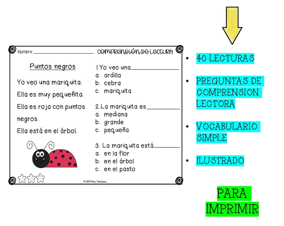 Printable Reading Comprehension | Comprension De Lectura | Nivel ...