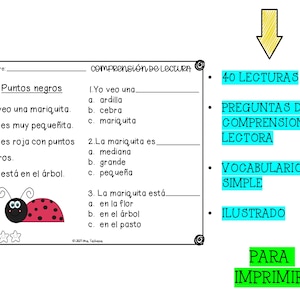 Printable Reading Comprehension | Comprension De Lectura | Nivel ...