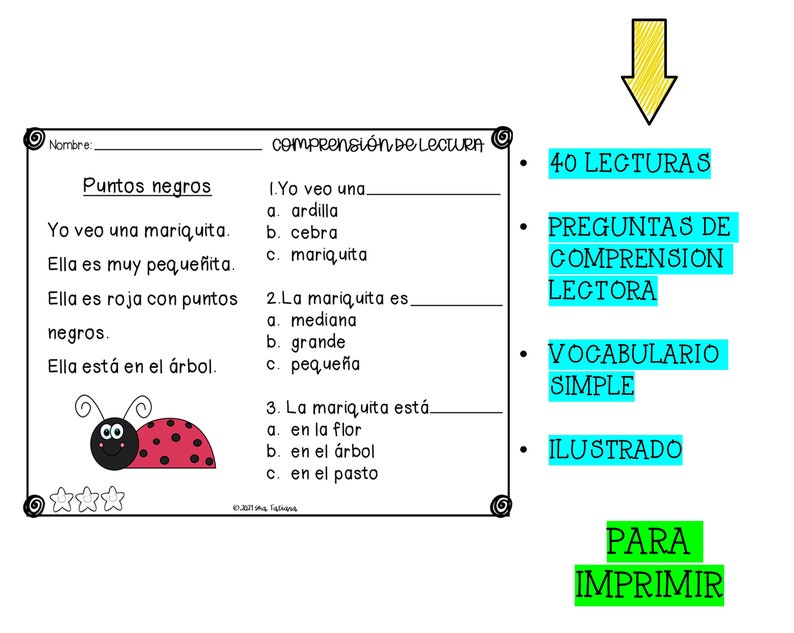 Printable Reading Comprehension | Comprension De Lectura | Nivel ...