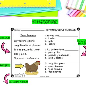 Printable Reading Comprehension | Comprension De Lectura | Nivel ...