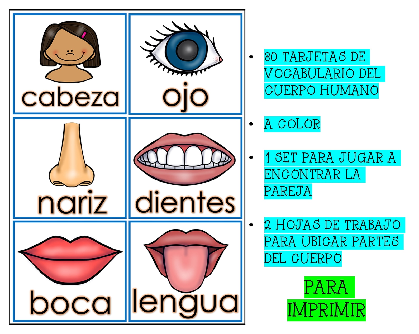 Printable Las Partes Del Cuerpo | Body Parts in Spanish | Spanish for ...