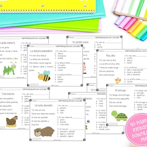 Printable Reading Comprehension | Comprension De Lectura | Nivel ...