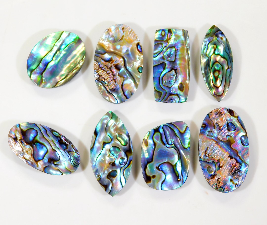 Natural Abalone Shell Cabochon: Flashy Jewelry Making Flat Back ...