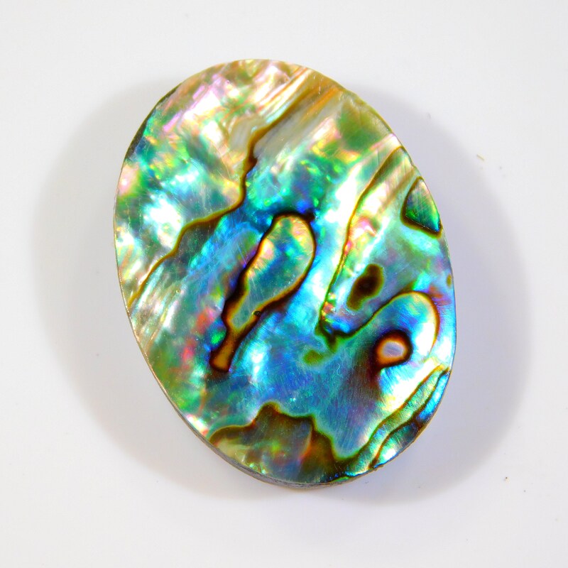 Abalone Shell - Etsy