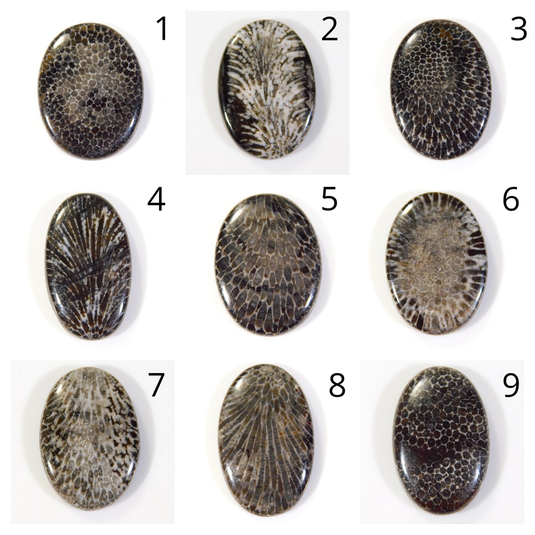 Natural Black Fossil Coral Mix Shape Cabochon Gemstone. Black Fossil ...
