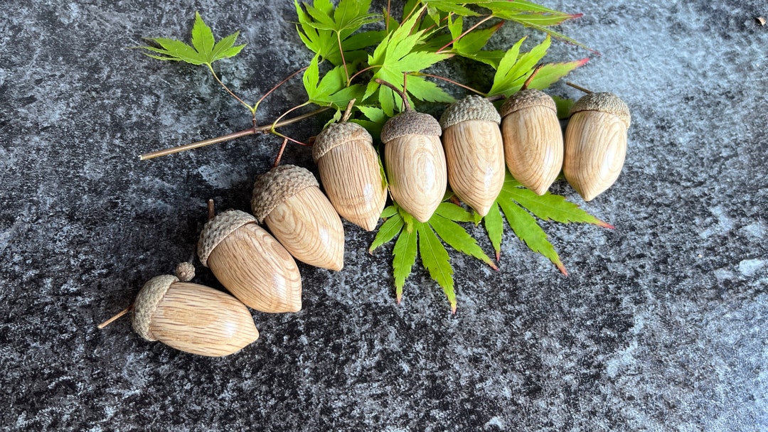 Turkey Oak Wood Turned Acorns, 5th Anniversary Gift, Wood Lovers Gift ...