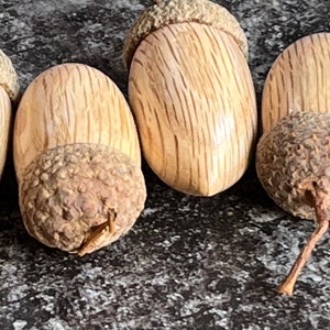 Turkey Oak Wood Turned Acorns, 5th Anniversary Gift, Wood Lovers Gift ...
