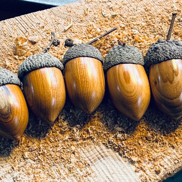 Natural Acorn Caps - Etsy