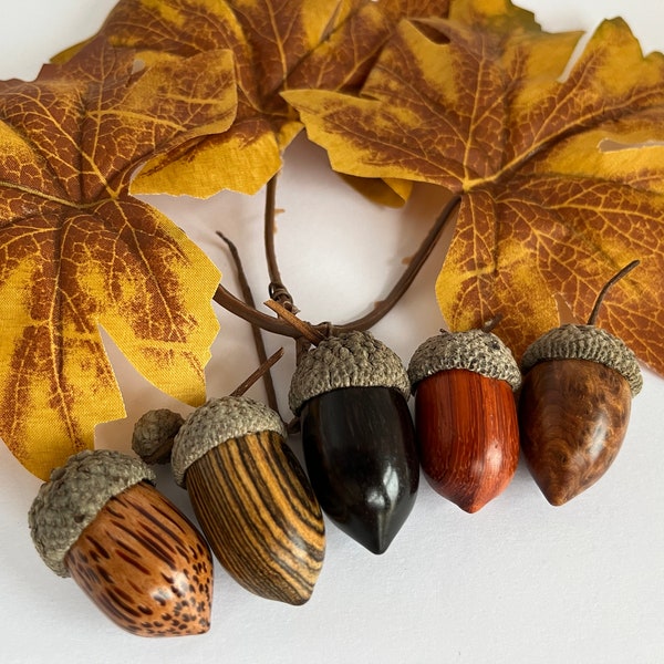 Miniature Acorns - Etsy
