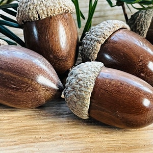 Walnut Wood Turned Individual Acorns , Natural Acorn Caps, 5th ...