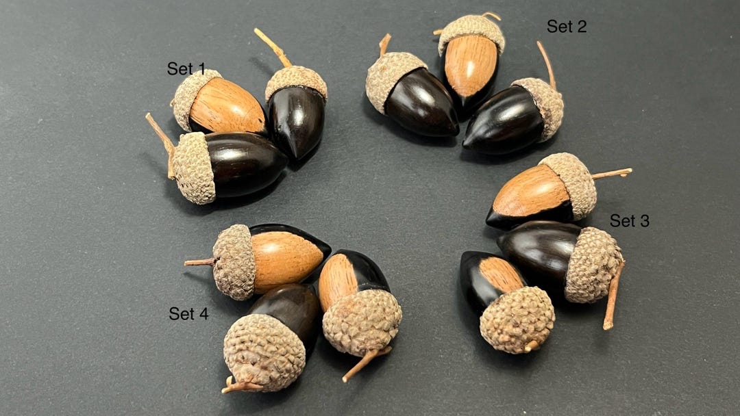 Ebony Turned Acorns, Rare Wood Gift, Set of 3 Acorns, 5th Anniversary ...