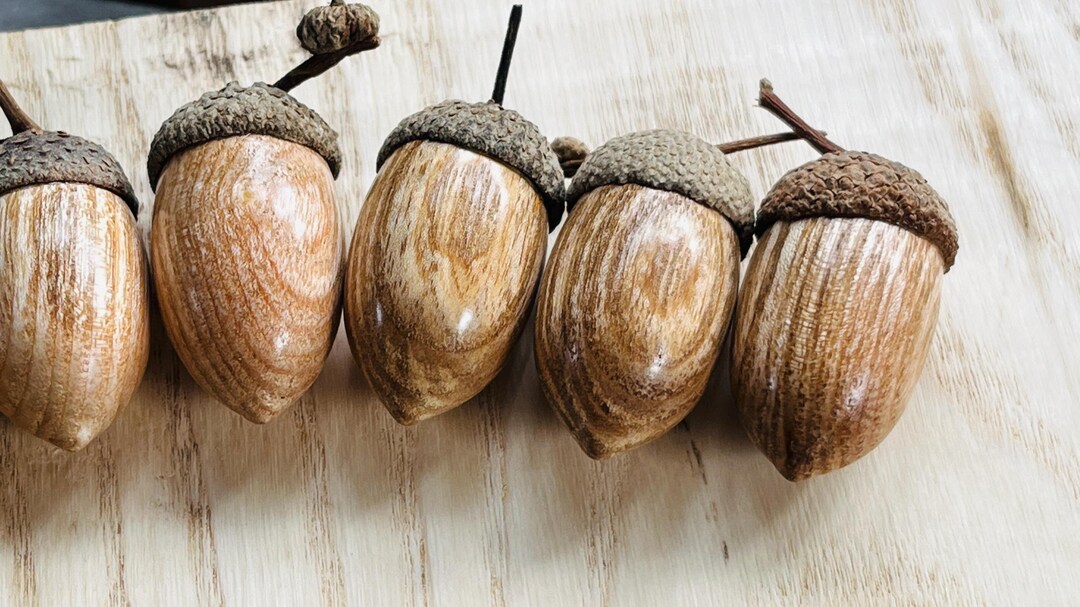 Ash Wood Turned Acorns, 5th Anniversary Gift, Wood Lovers Gift - Etsy