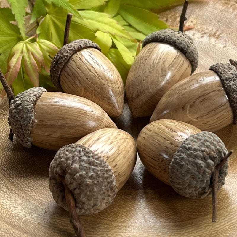 Carved Acorns - Etsy