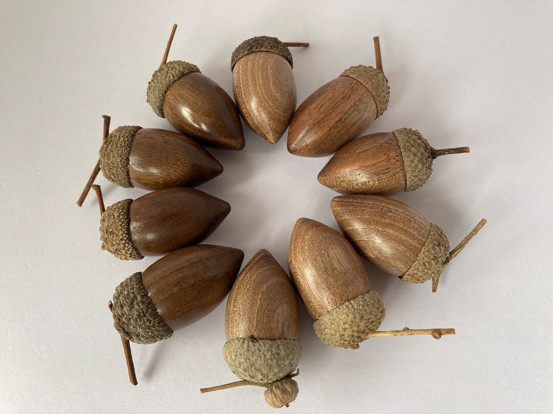 Walnut Wood Turned Individual Acorns Natural Acorn Caps 5th - Etsy