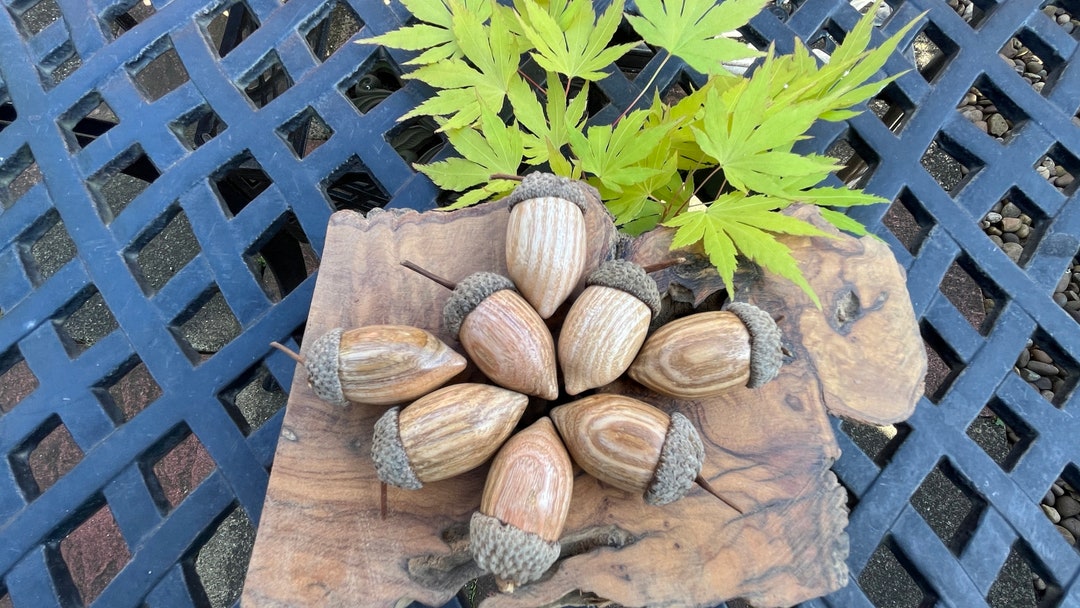 Ash Wood Turned Acorns, 5th Anniversary Gift, Wood Lovers Gift - Etsy