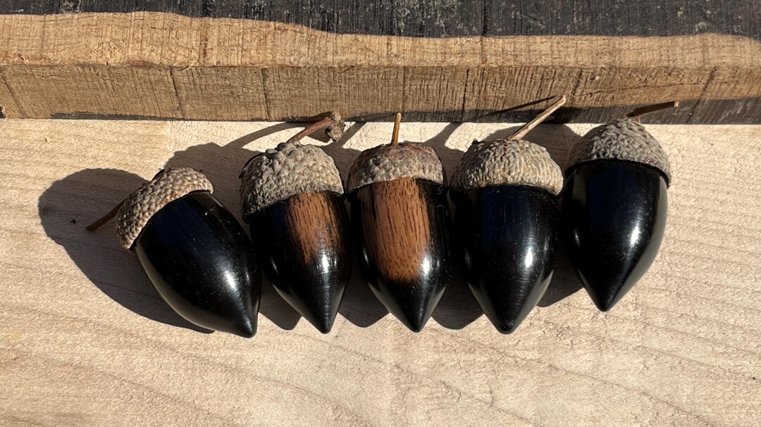 Ebony Turned Acorns, Rare Wood Gift, Set of 5 Acorns, 5th Anniversary ...