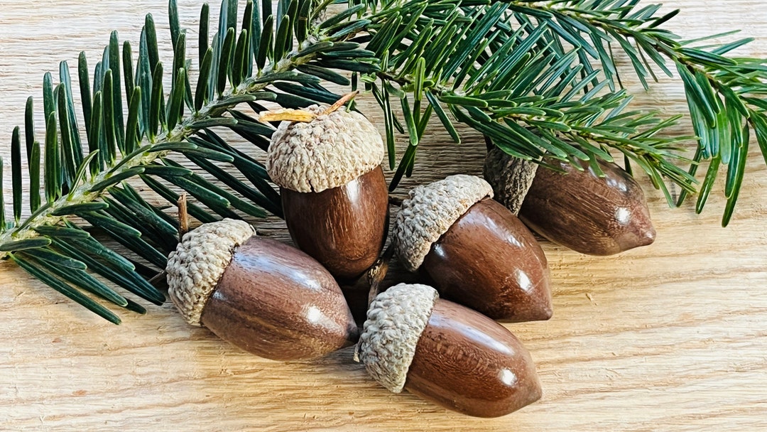 Walnut Wood Turned Individual Acorns , Natural Acorn Caps, 5th ...