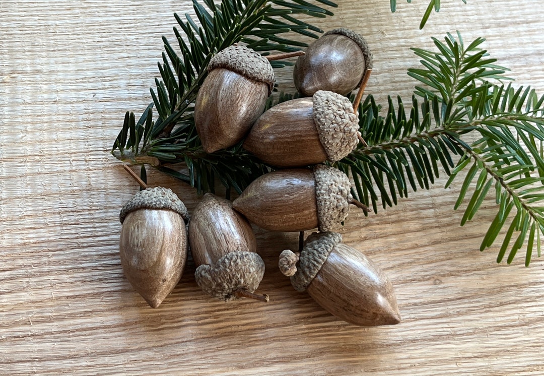 Walnut Wood Turned Individual Acorns , Natural Acorn Caps, 5th ...