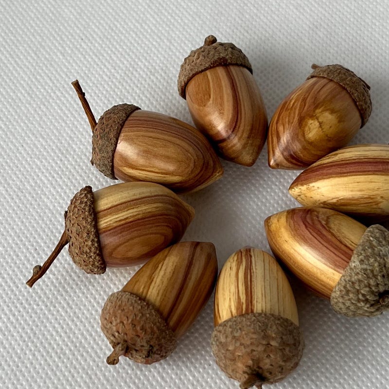 Miniature Acorns - Etsy