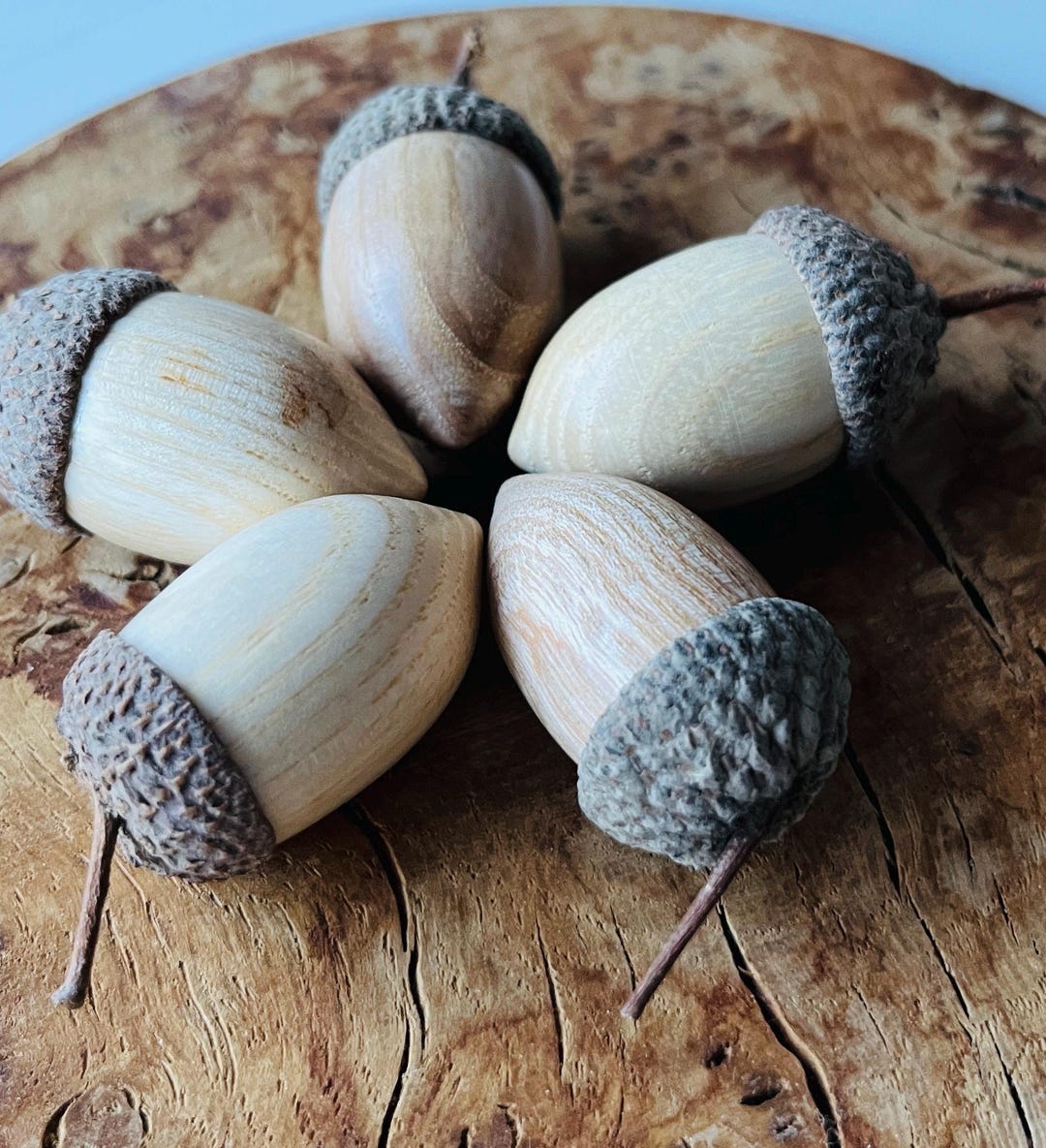 Hand Turned Ash Wood Acorn, Natural Cap, 5th Anniversary Gift - Etsy