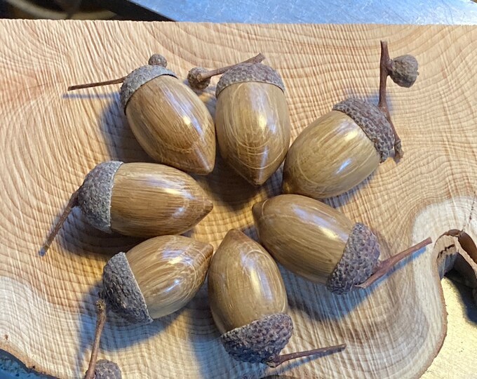 Oak Wood Turned Individual Acorns Natural Acorn Caps 5th - Etsy UK