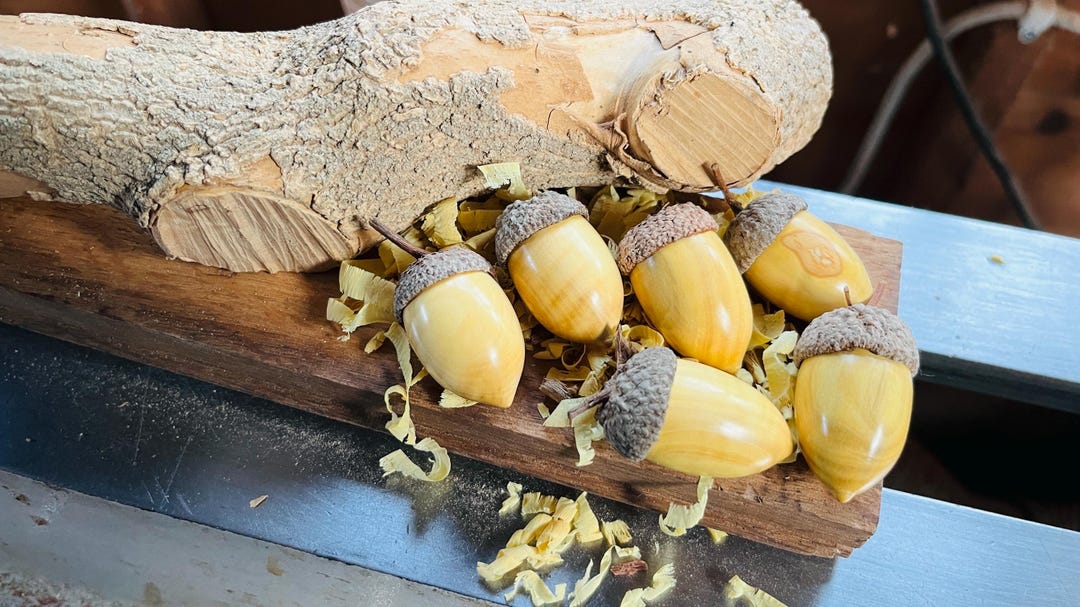 Boxwood Wood Turned Individual Acorns , Hand Turned Acorns, 5th ...