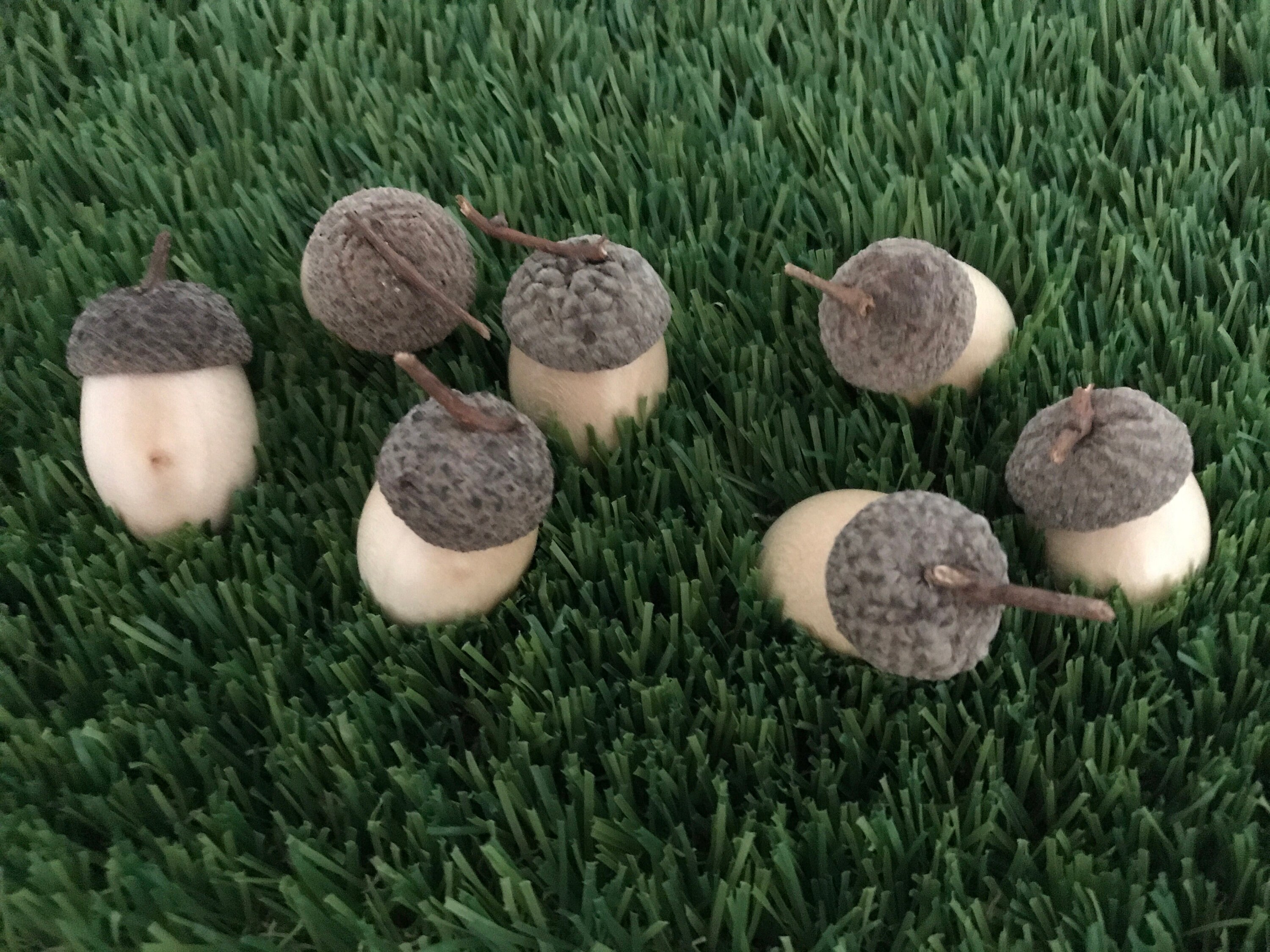 Maple Wood Turned Individual Acorns Natural Acorn Cap 5th | Etsy