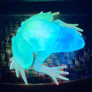 Clear Glow in the Dark Frog, Frog Lover Gift Idea, Paperweight Desk ...