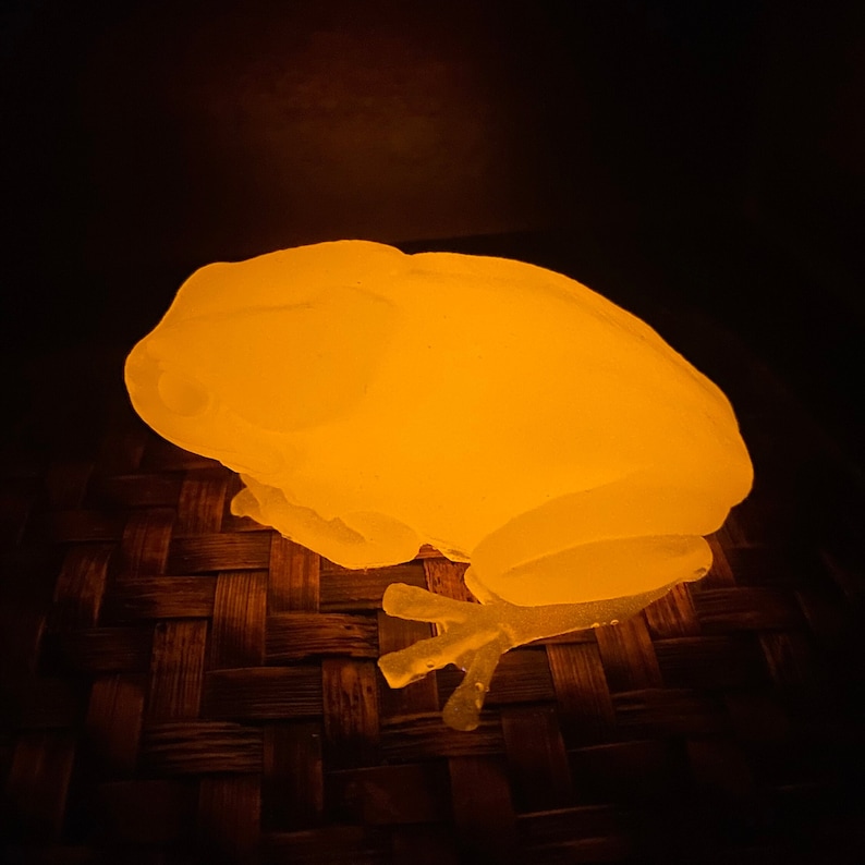 Glow in the Dark Frog Paperweight, White in Daylight Glows at Night ...