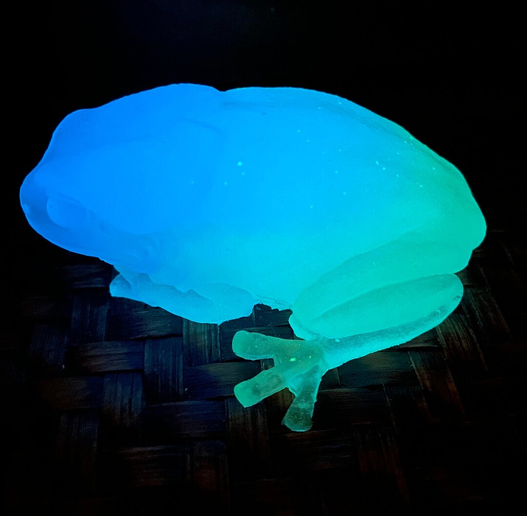 Glow in the Dark Frog Paperweight, White in Daylight Glows at Night ...