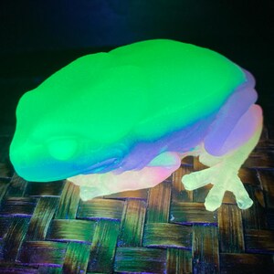 UV Reactive Neon Glow in the Dark Frog Nightlight Paperweight Gift Idea ...