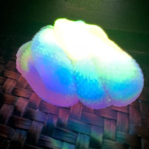 Glow in the Dark Snake Paperweight, Multicolorglowing UV Reactive Neon ...