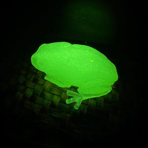 UV Reactive Neon Glow in the Dark Frog Nightlight Paperweight Gift Idea ...